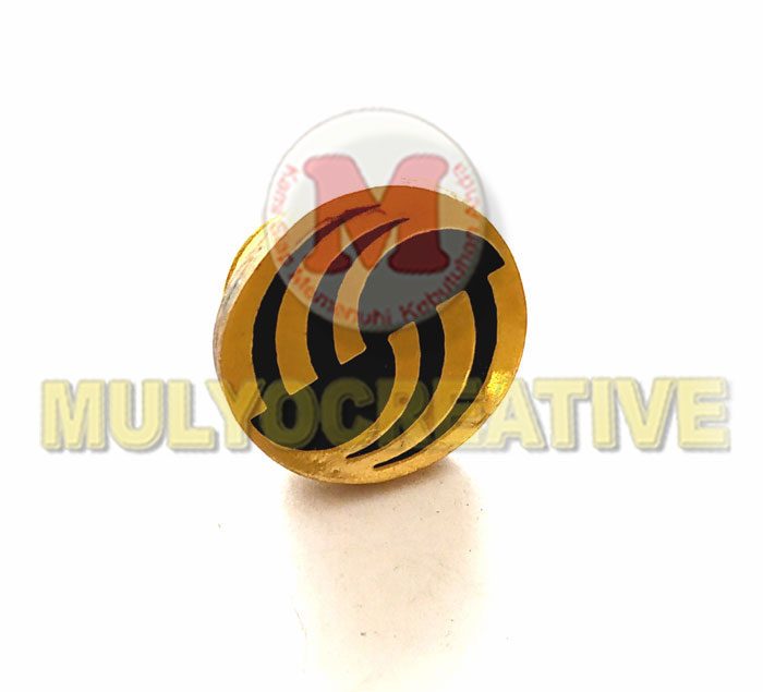 Beli Pin Airbus SE- Lapel Pin Logo Merk Pesawat Bahan Logam Kuningan ...